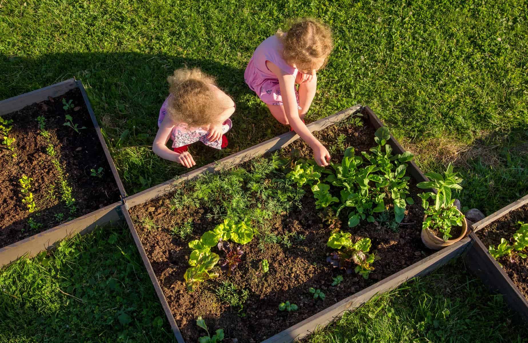 So wird der Garten für Kinder zu einem echten Erlebnis!