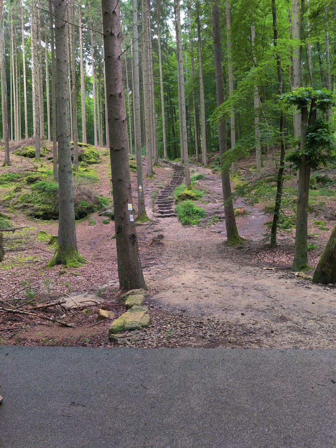 Lust auf ein paar gruselige Familien-Wanderwege an Halloween?